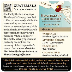Guatemala Light Roast – the berry good elixir company